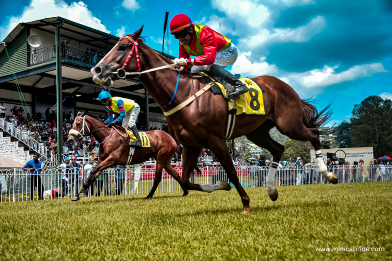 Royal Ascot Dates 2025 Guide: Races, Running Order & Schedule - News ...